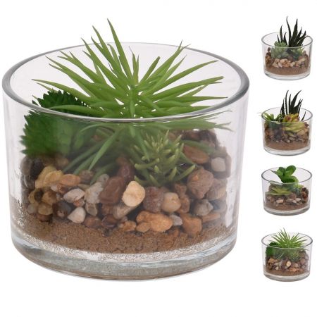 Green Plant In Round Glass Pot - 10 cm - Makhsoom