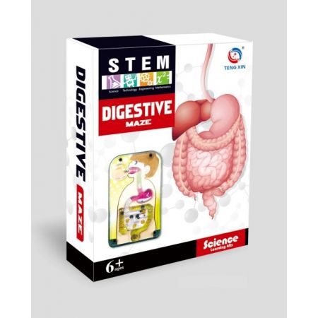 Stem Digestive Maze Science Learning Kit - Makhsoom