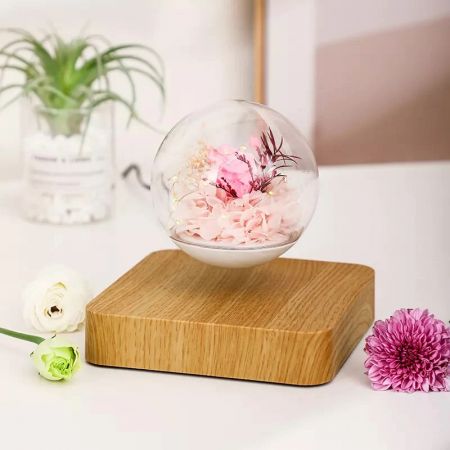 Levitating Rose Eternal Lamp Decorative Magnetic Table Lamp Assorted 1 ...