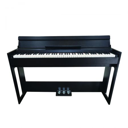 Ara Digital Keyboard Piano Portable 88 Keys with Hammer Action and ...