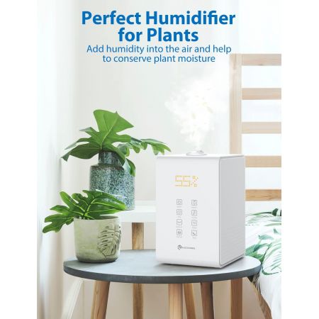 Elechomes SH8820 Warm & Cool Mist Ultrasonic Humidifier with Remote Control 5.5 L 280 W - Makhsoom