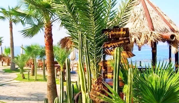 50% Off Beach Pass For One from Puncho Beach, Amchit (Only $6.60 ...