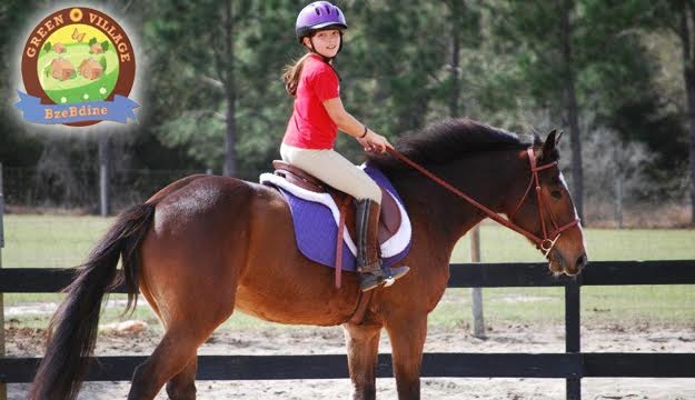 50% Off 20 min. Horse Back Riding Lesson from Green Village Bzebdine ...