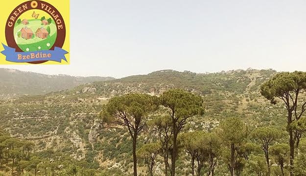 50% Off Lebanese Set Menu For Kids from Green Village Bzebdine ...