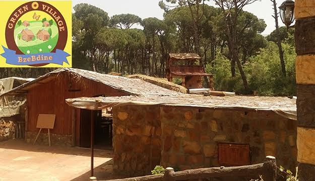 50% Off Lebanese Set Menu For Kids from Green Village Bzebdine ...