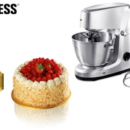 10% Off Princess Professional Mixer (Only $260 instead of $290) - Makhsoom