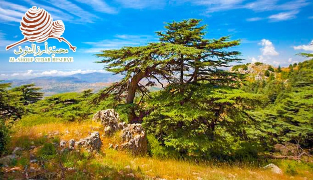 50% Off Entrance for 2 from Shouf Biosphere Reserve, Maasser El Shouf ...