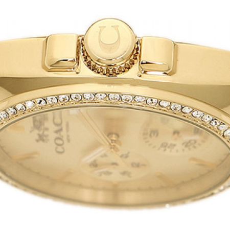 Coach Boyfriend Gold Plated Chronograph Round Watch For Women - Makhsoom