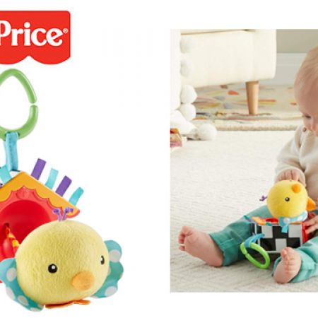 Fisher-Price Birdhouse Jingle Birdie Baby Toy Rattle & Shaker - Makhsoom