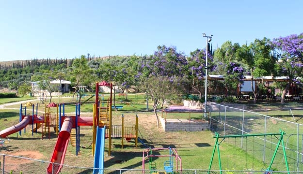 Pool Entrance Valid on Weekends , Weekdays & Holidays - Makhsoom