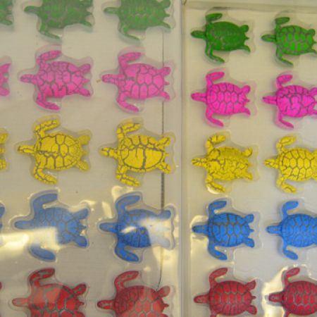 Magic Hatching Growing Turtle 30 Pcs - Makhsoom